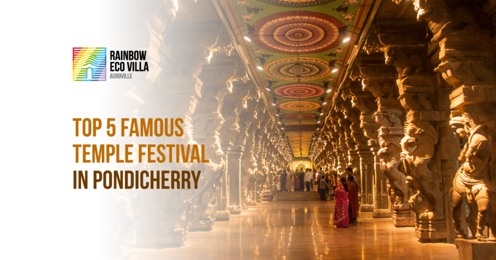 Shopping in Pondicherry: 22 Best Things to Buy in Pondicherry - Echo Villa